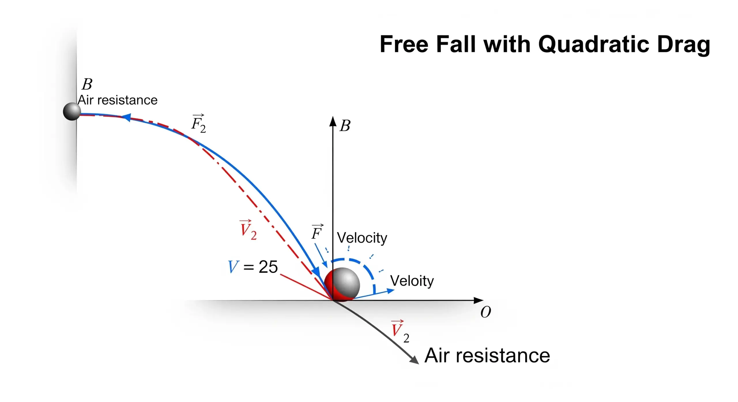Chute Libre avec Frottements Quadratiques - Exercice Corrigé