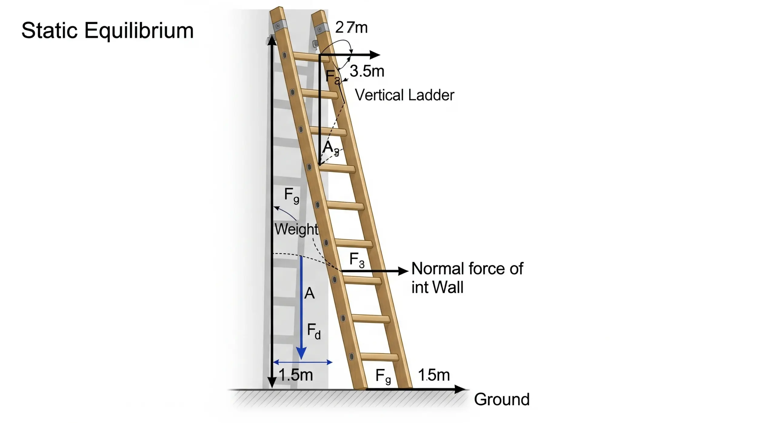 Équilibre Statique d'une Échelle - Exercice corrigé